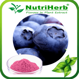Bilberry Powder,Instant Bilberry Fruit Powder Supplier and Factory ...