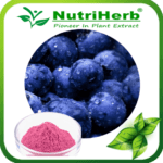 Blueberry Powder, Blackberry Extract Powder Supplier and Manufacturer