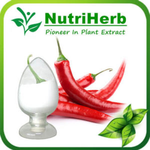 Capsaicin,Capsicine,Capsicum Extract Supplier and Factory-NutriHerb