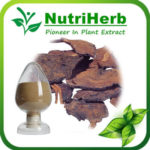 Ho Shou Wu Extract,Fo Ti Extract Supplier and Factory-NutriHerb