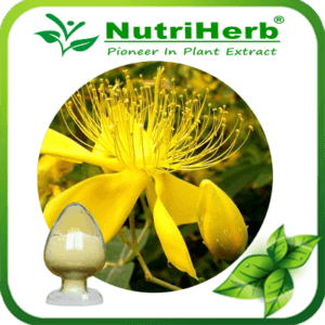Hypericin,Hyperoside,Hypericum Perforatum Extract Supplier and Factory ...