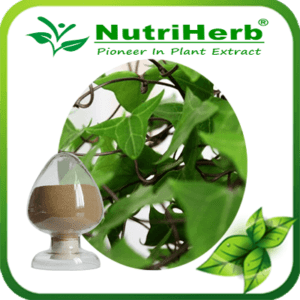 Ivy leaf Extract,Hederacoside C Supplier and Factory-NutriHerb