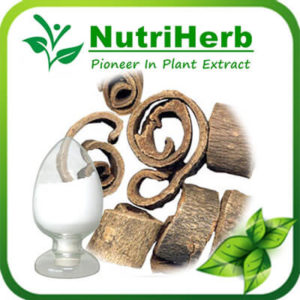 Magnolol,Honokiol,Magnolia Bark Extract Supplier and Factory-NutriHerb