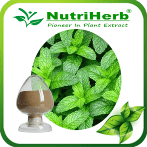 Mint Extract,Peppermint Extract,Mint Leaf Extract Supplier and Factory ...