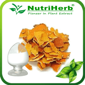 Nobiletin 98%,Citrus Aurantium Extract Supplier and Factory-NutriHerb