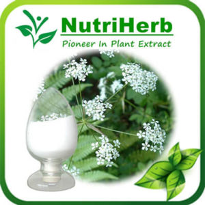 Osthole,Osthole 98%,Cnidium Monnieri Extract Supplier and Factory-NutriHerb