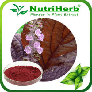 Perilla Red Colour,Perilla Color,Perilla Pigment Supplier and Factory ...