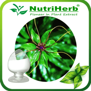 Podophyllotoxin,Podofilox,Podophyllum Extract Supplier and Factory ...