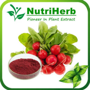 Radish Red Pigment,Radish Red Color Supplier and Factory-NutriHerb