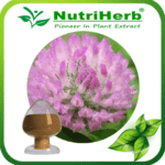 Functional Food Ingredient For Women -Red Clover Extract NutriHerb