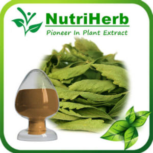Senna Leaf Extract,Sennosides Supplier and Factory-NutriHerb