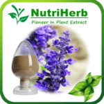 Carnosic Acid, Rosemary Leaf Extract, Sage Extract Wholesale - NutriHerb