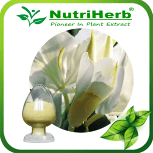 Kaempferol,Sophora Japonica Extract Supplier and Factory-NutriHerb