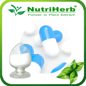 DMSA, Dimercaptosuccinic Acid 98% Factory-NutriHerb